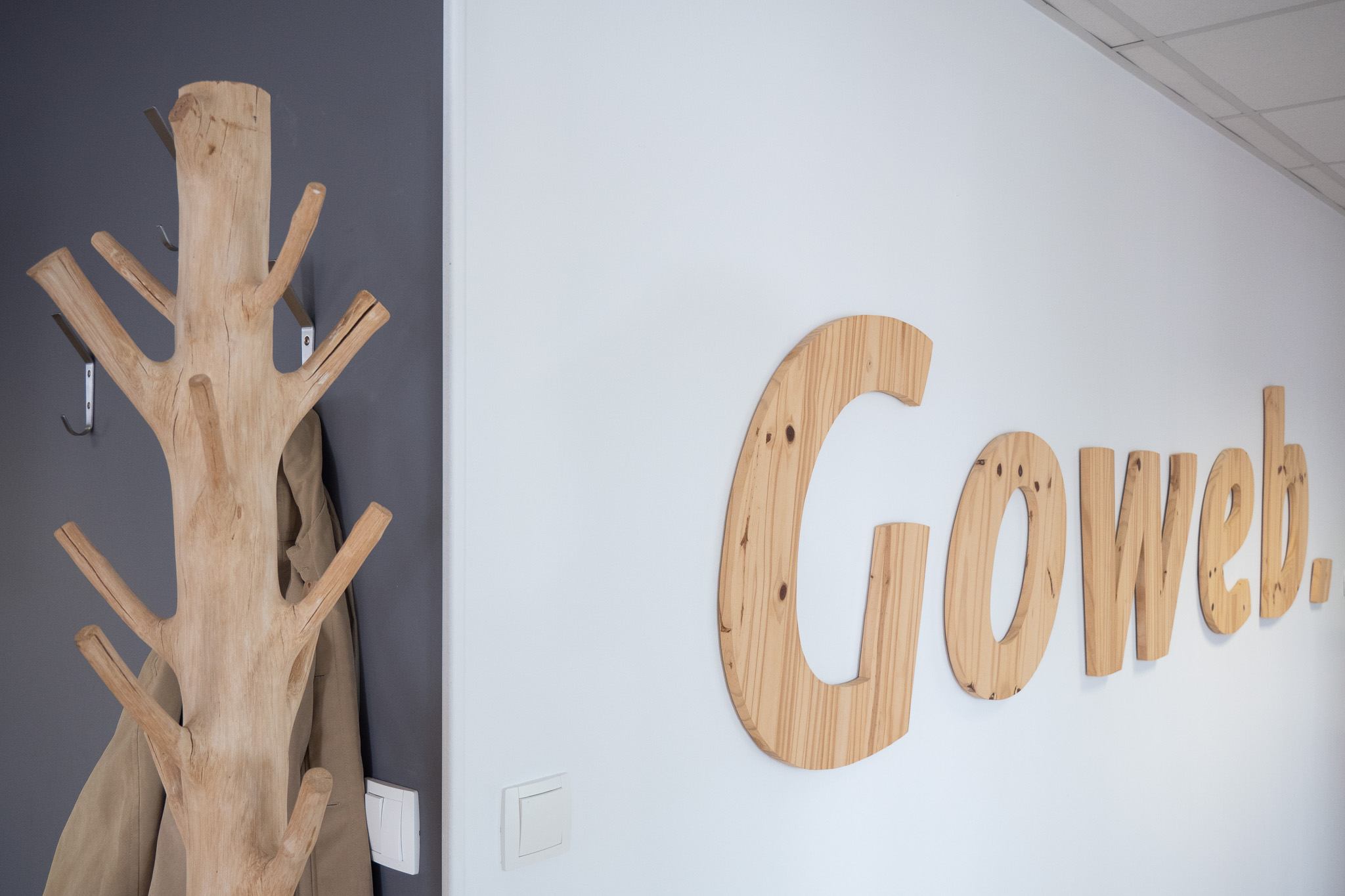 Goweb | ESN Lille - pour la transformation digitale continue